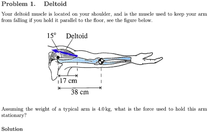 SOLVED: Problem 1. Deltoid Your deltoid muscle is located on your ...