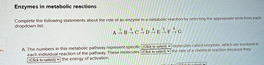 Enzymes in metabolic reactions Complete the following statements about ...