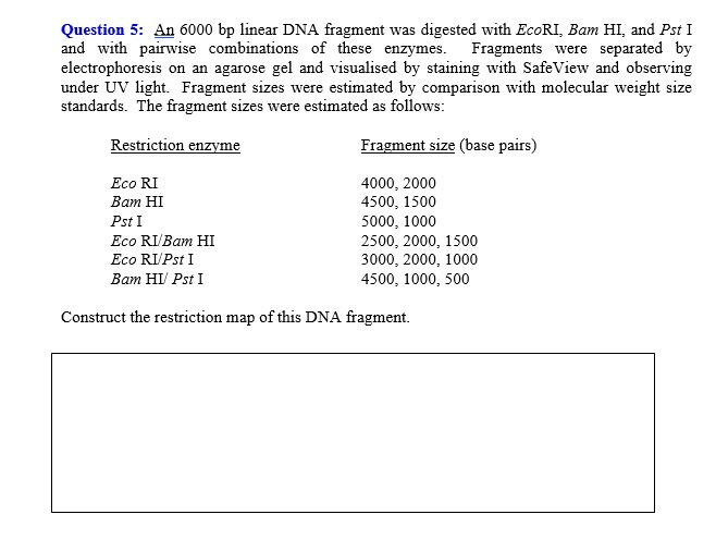SOLVED: Question 5: An 6000 bp linear DNA fragment was digested with ...