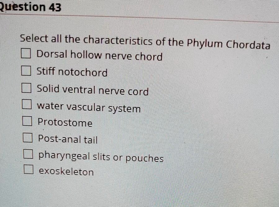 SOLVED:ulestion 43 Select all the characteristics of the Phylum ...