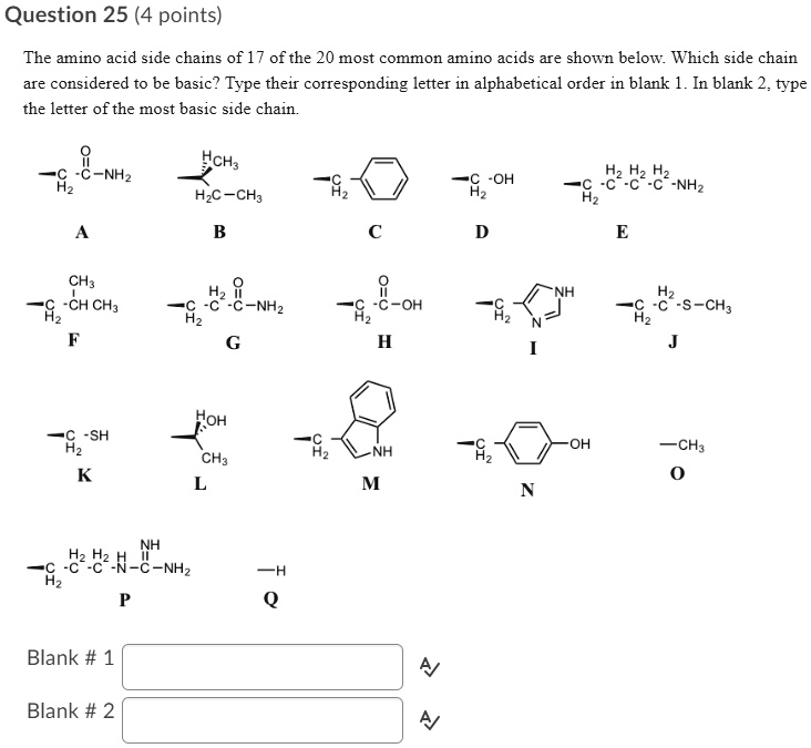 Solved The Amino Acid Side Chains Of 17 Of The 20 Most Common Amino Acids Are Shown Below