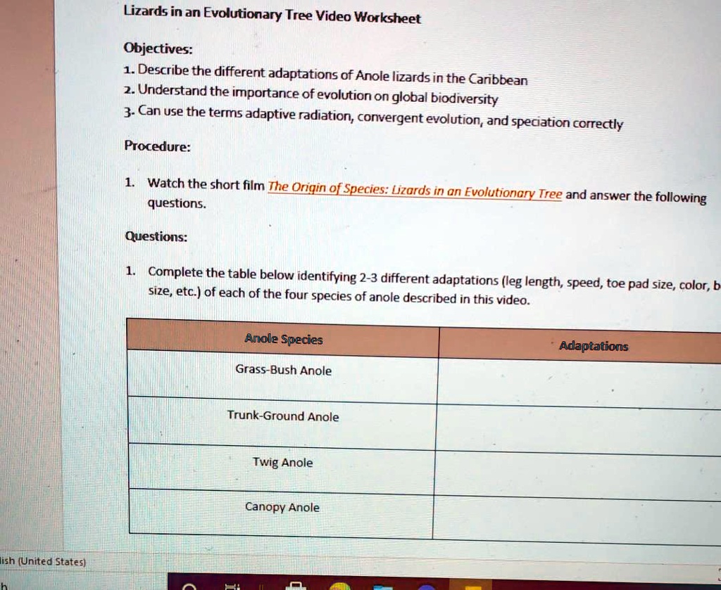 SOLVED: Lizards in an Evolutionary Tree Video Worksheet Objectives ...