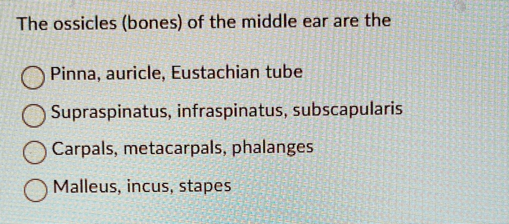 The ossicles (bones) of the middle ear are the Pinna, auricle ...