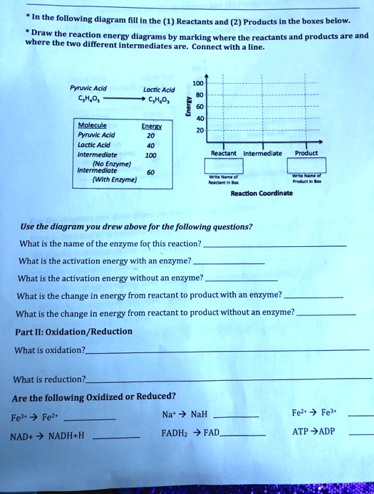 SOLVED: In the following diagram, fill in the (1) Reactants and (2) Products in the boxes below ...