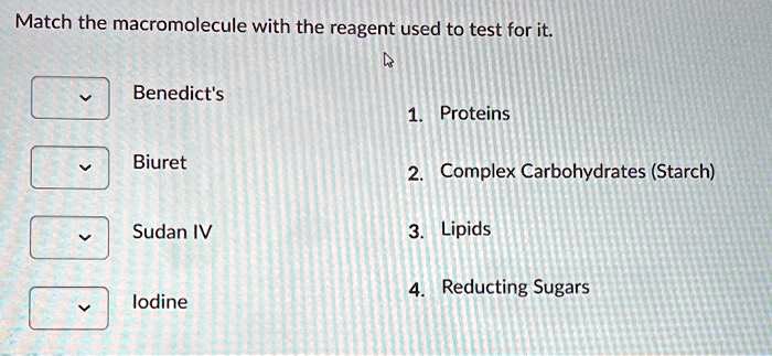 Match the macromolecule with the reagent used to test for it: Benedict ...