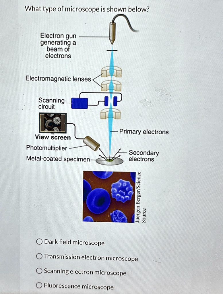 What type of microscope is shown below? Electron gun generating a beam of electrons ...