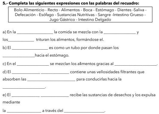 SOLVED: 4-. Observa el dibujo y escribe a qué órgano corresponde del ...