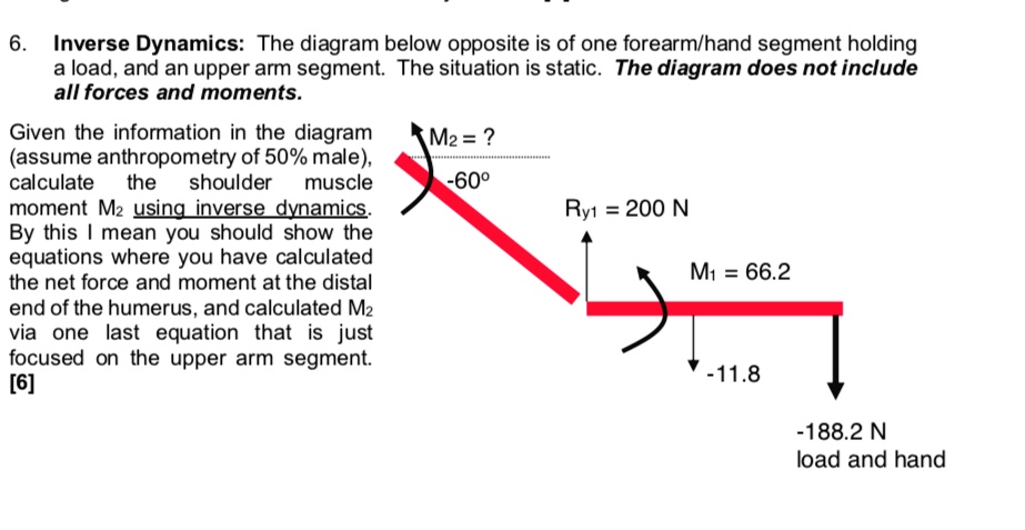 6 inverse dynamics the diagram below opposite is of one forearmhand segment holding a load and ...