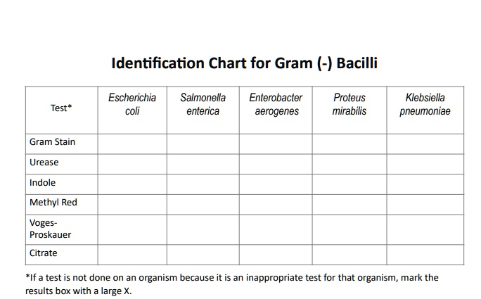 SOLVED: Identification Chart for Gram (-) Bacilli Escherichia coli ...