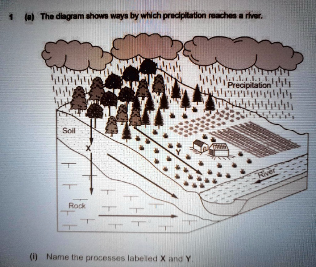 SOLVED: '(a) The diagram shows ways by which precipitation reaches a ...