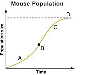 SOLVED: The graph below shows the population of mice in an ecosystem ...