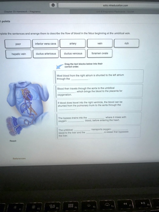 SOLVED: Text: ezto.mheducation.com Please complete the sentences and ...