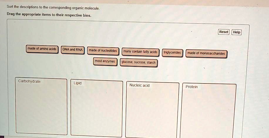 SOLVED: Sort the descriptions to the corresponding organic molecule ...