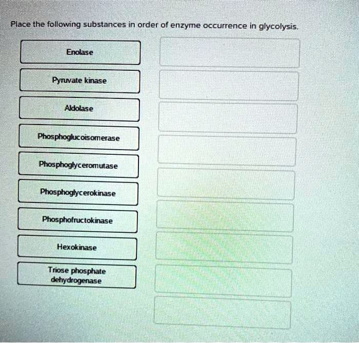 Place the following substances in order of enzyme occurrence in ...
