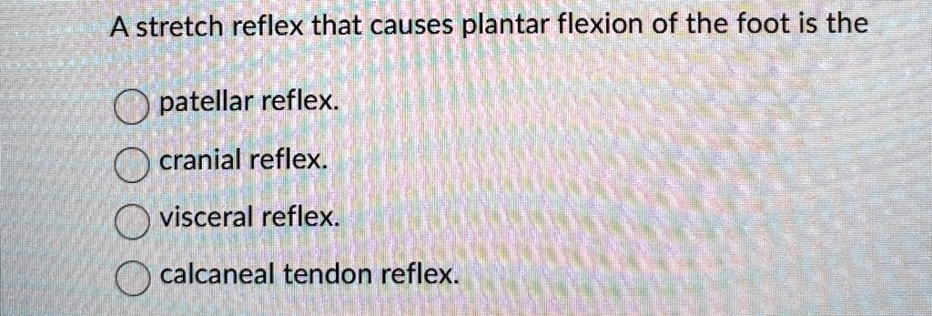 a stretch reflex that causes plantar flexion of the foot is the ...