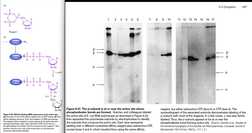 SOLVED: Texts: For the experiment shown in Fig. 6.30 and 6.31, what is ...