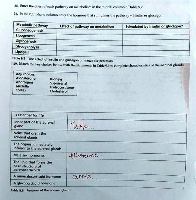 VIDEO solution: 36. In the right-hand column, enter the hormone that ...