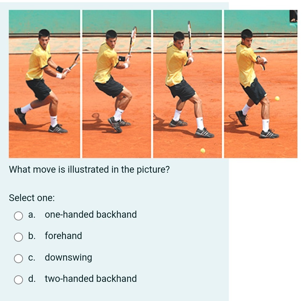 What move is illustrated in the picture? Select one: a. one-handed ...