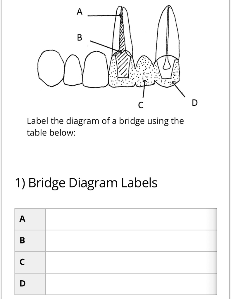 SOLVED: A B c D Label the diagram of a bridge using the table below: 1 ... SOLVED: A B c D Label the diagram of a bridge using the table below: 1 ...