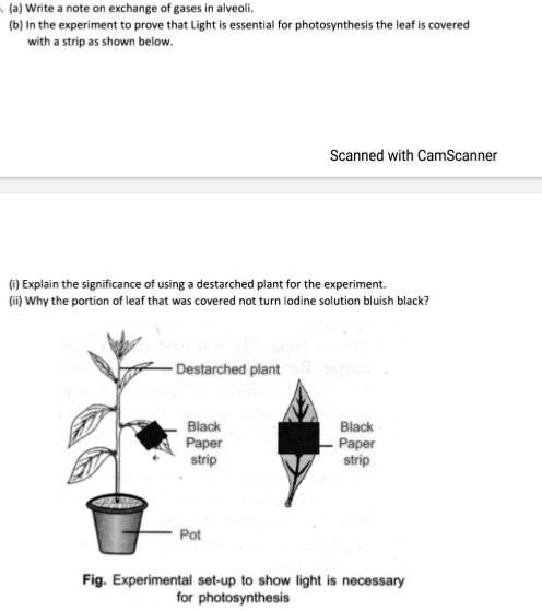 (a) Write a note on exchange of gases in alveoli. (b) In the experiment ...