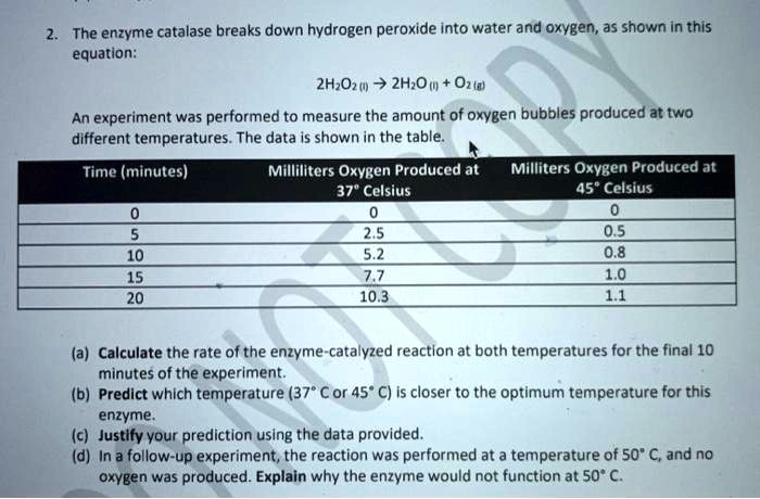 The enzyme catalase breaks down hydrogen peroxide into water and oxygen ...