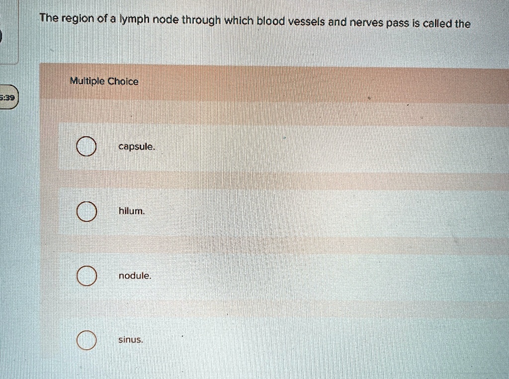 the region of a lymph node through which blood vessels and nerves pass ...