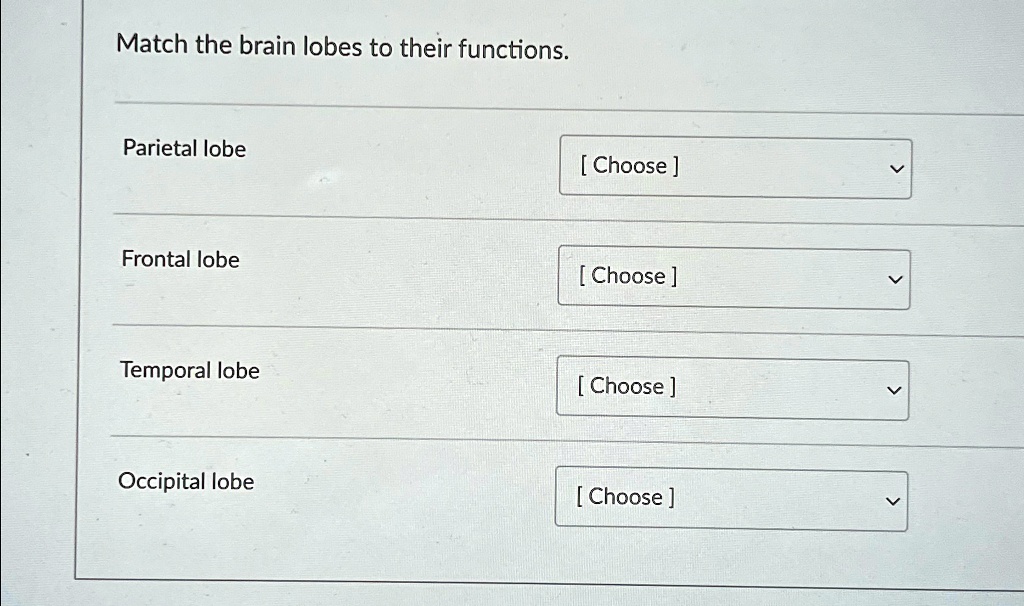 Match the brain lobes to their functions. Parietal lobe [Choose ...