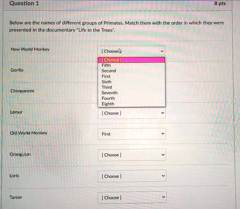 Question 1 8 pts Below are the names of different groups of Primates ...