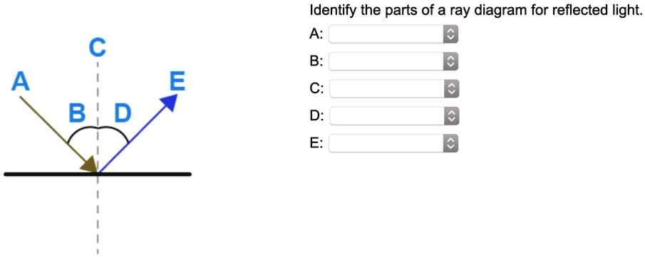 SOLVED: Identify the parts of a ray diagram for reflected light. A: B ...
