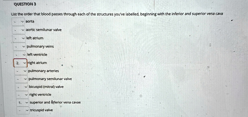 question 3 list the order that blood passes through each of the ...