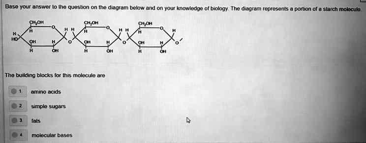 Base your answer to the question on the diagram below and on your ...