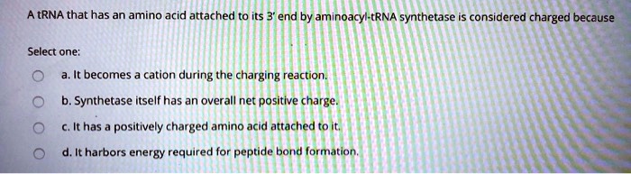 SOLVED: A tRNA that has an amino acid attached to its end by aminoacyl ...