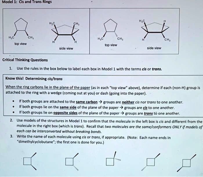 Model 1: Cis and Trans Rings HC CH H?C H H?C CH H?C CH? H CH? H H top ...