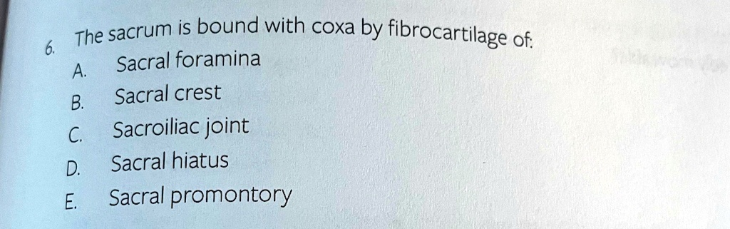 [GET ANSWER] 6. The sacrum is bound with coxa by fibrocartilage of. A ...