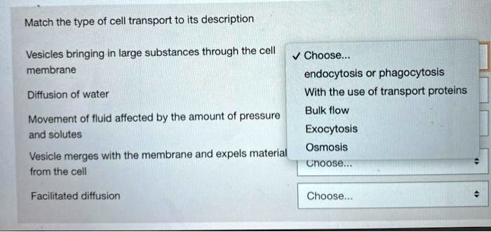 match the type of cell transport to its description vesicles bringing ...