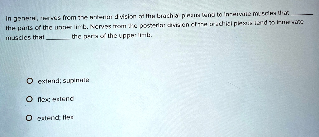 In general, nerves from the anterior division of the brachial plexus ...
