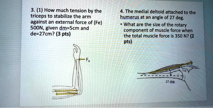 SOLVED: 3. (1) How much tension by the triceps to stabilize the arm ...