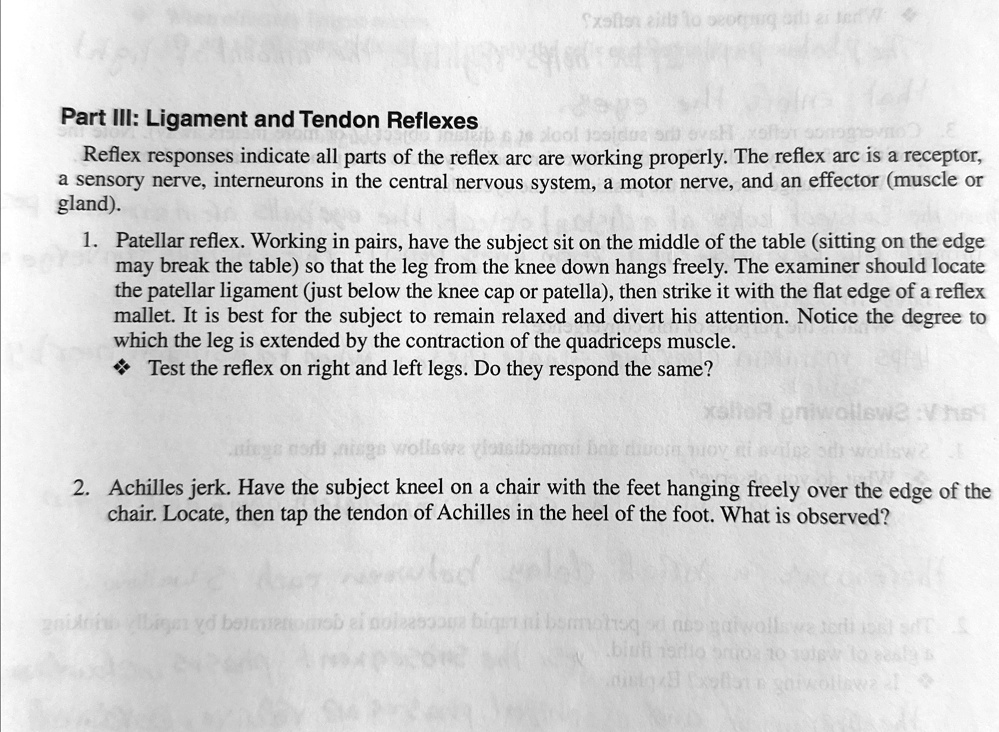 Part III: Ligament and Tendon Reflexes Reflex responses indicate all ...