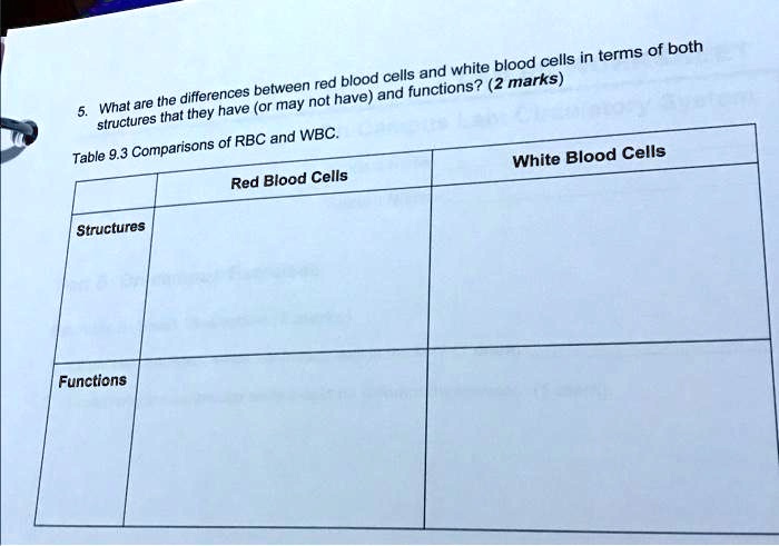 5. What are the differences between red blood cells and white blood ...