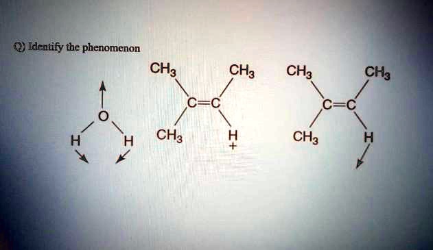 Solved Identify The Phenomenon Ch3 Cha Cha Ch3 Chg Ch3