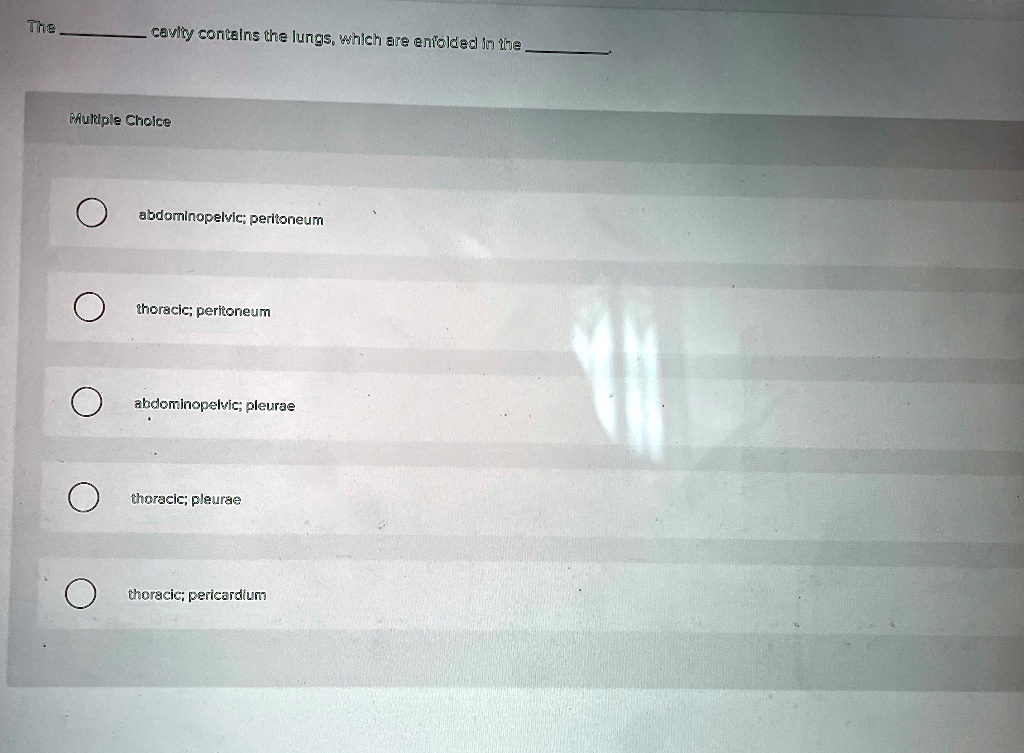 The cavity contains the lungs, which are enfolded in the Multiple ...