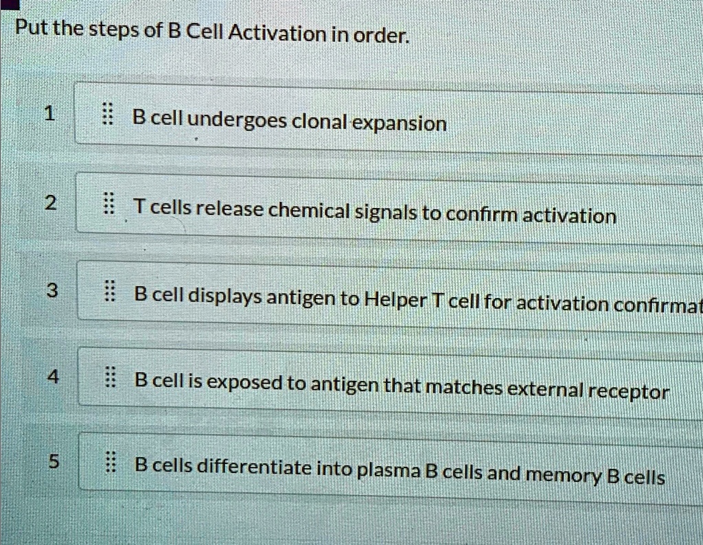 SOLVED: Put the steps of B Cell Activation in order: 1. B cell undergoes clonal expansion 2. T ...