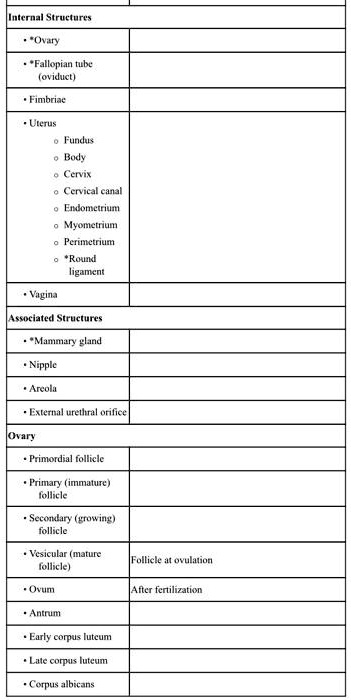 Internal Structures • *Ovary • *Fallopian tube (oviduct) • Fimbriae ...