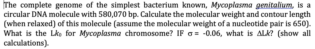 SOLVED: [The complete genome of the simplest bacterium known ...
