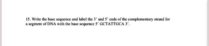 SOLVED: Write the base sequence and label the 3' and 5' ends of the complementary strand for a ...