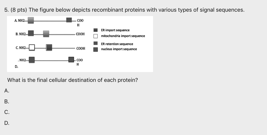 SOLVED: 5. (8 pts) The figure below depicts recombinant proteins with various types of signal ...