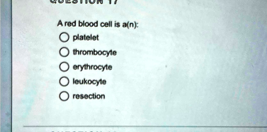 SOLVED: A red blood cell is a(n): platelet thrombocyte erythrocyte leukocyte resection Ared ...