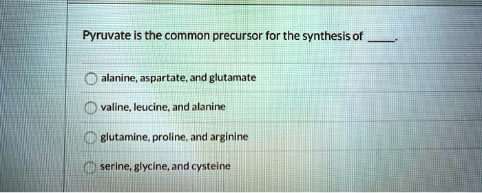Pyruvate is the common precursor for the synthesis of… - SolvedLib