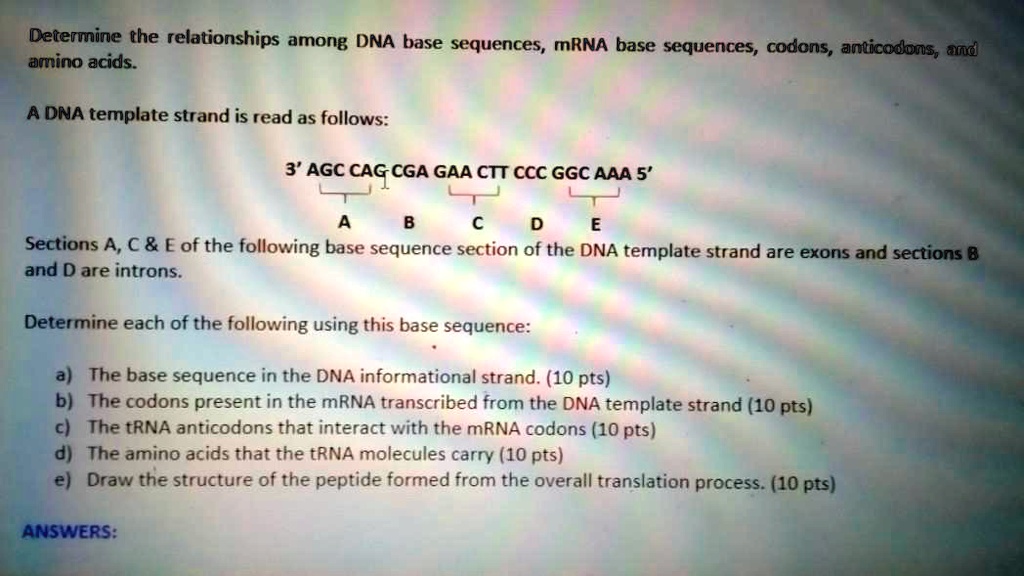[GET ANSWER] determine the relationships among dna base sequences mrna base sequences codons ...