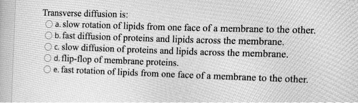 SOLVED: Transverse diffusion is: a slow rotation of lipids from one ...